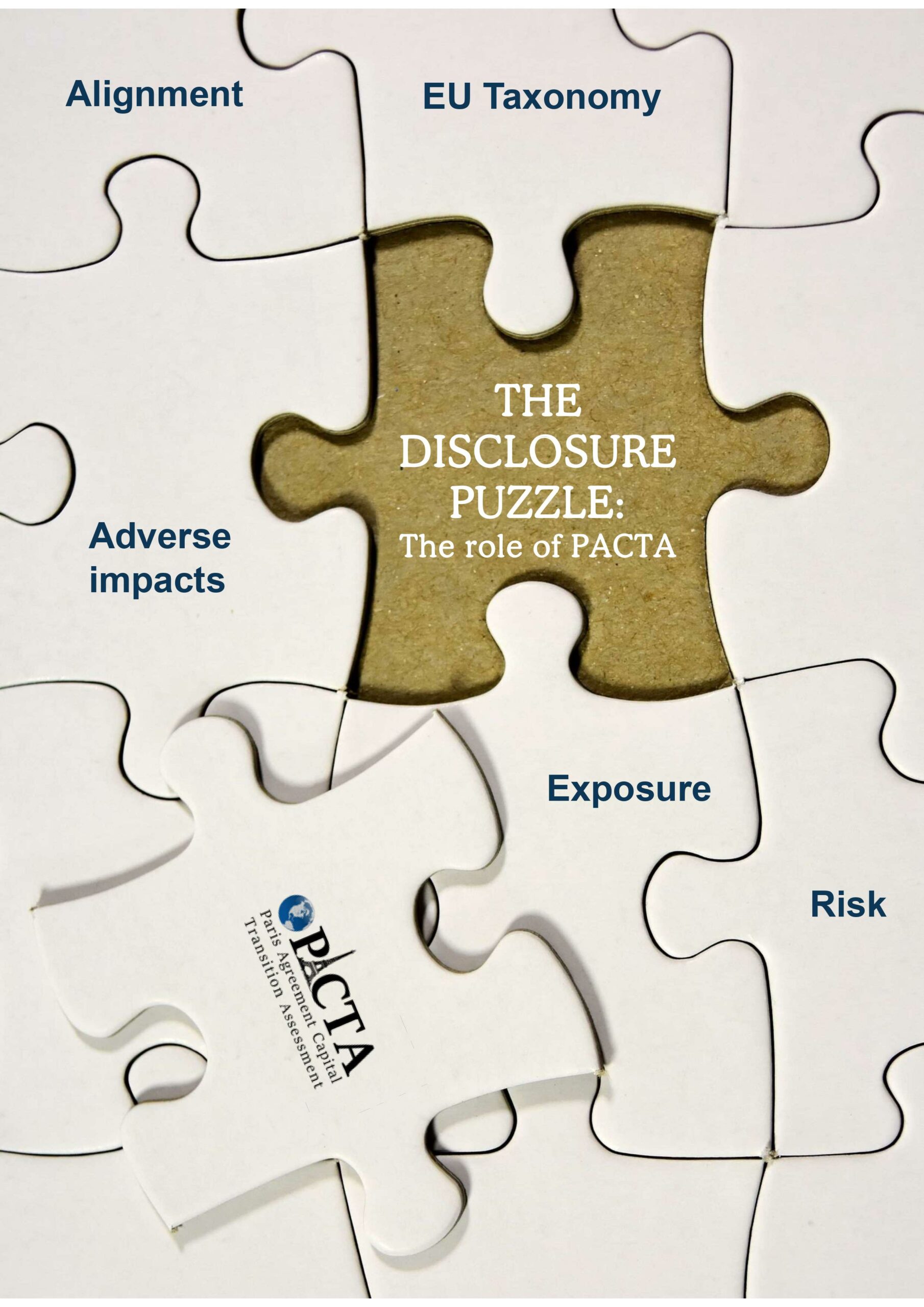The Disclosure Puzzle: The Role of PACTA - Sustainable Finance Observatory