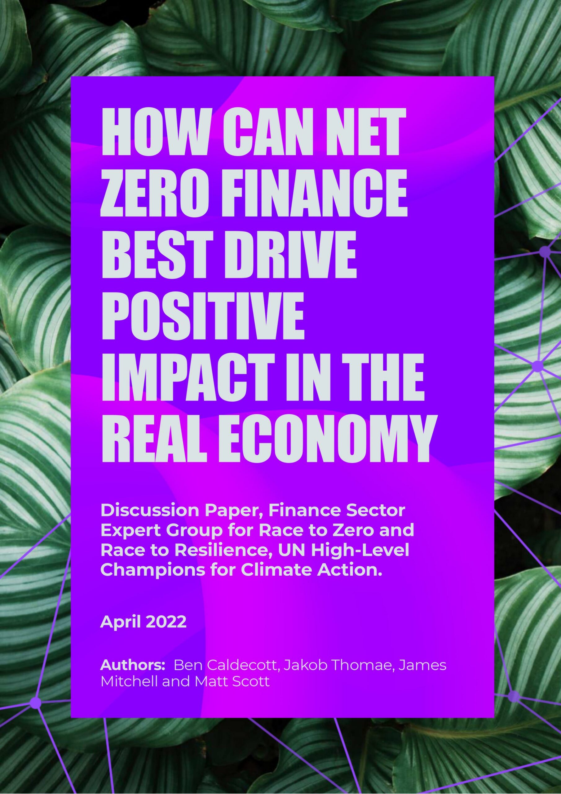 How Can Net Zero Finance Best Drive Positive Impact in the Real Economy ...
